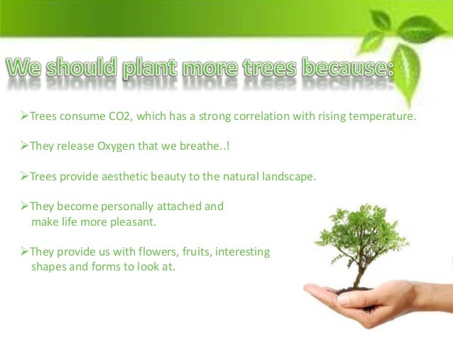 Importance of Trees