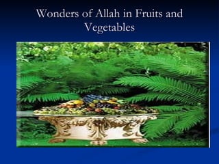 Wonders Of Allah In Fruits And Vegetables