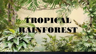 Powerpoint Presentation About Rain Forest | PPT