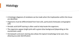 Amebiasis and Future perspective | PPT