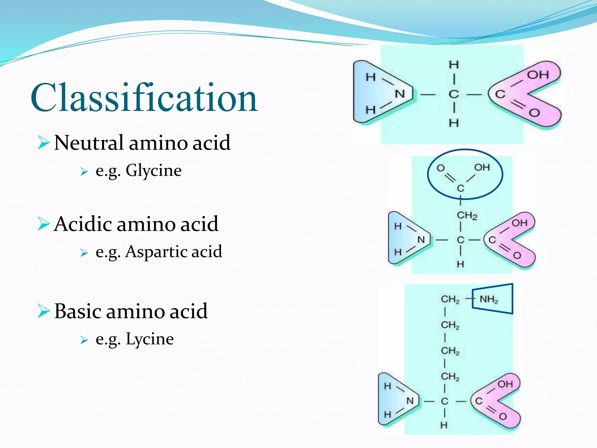 Amino acid & Proteins | PPTX