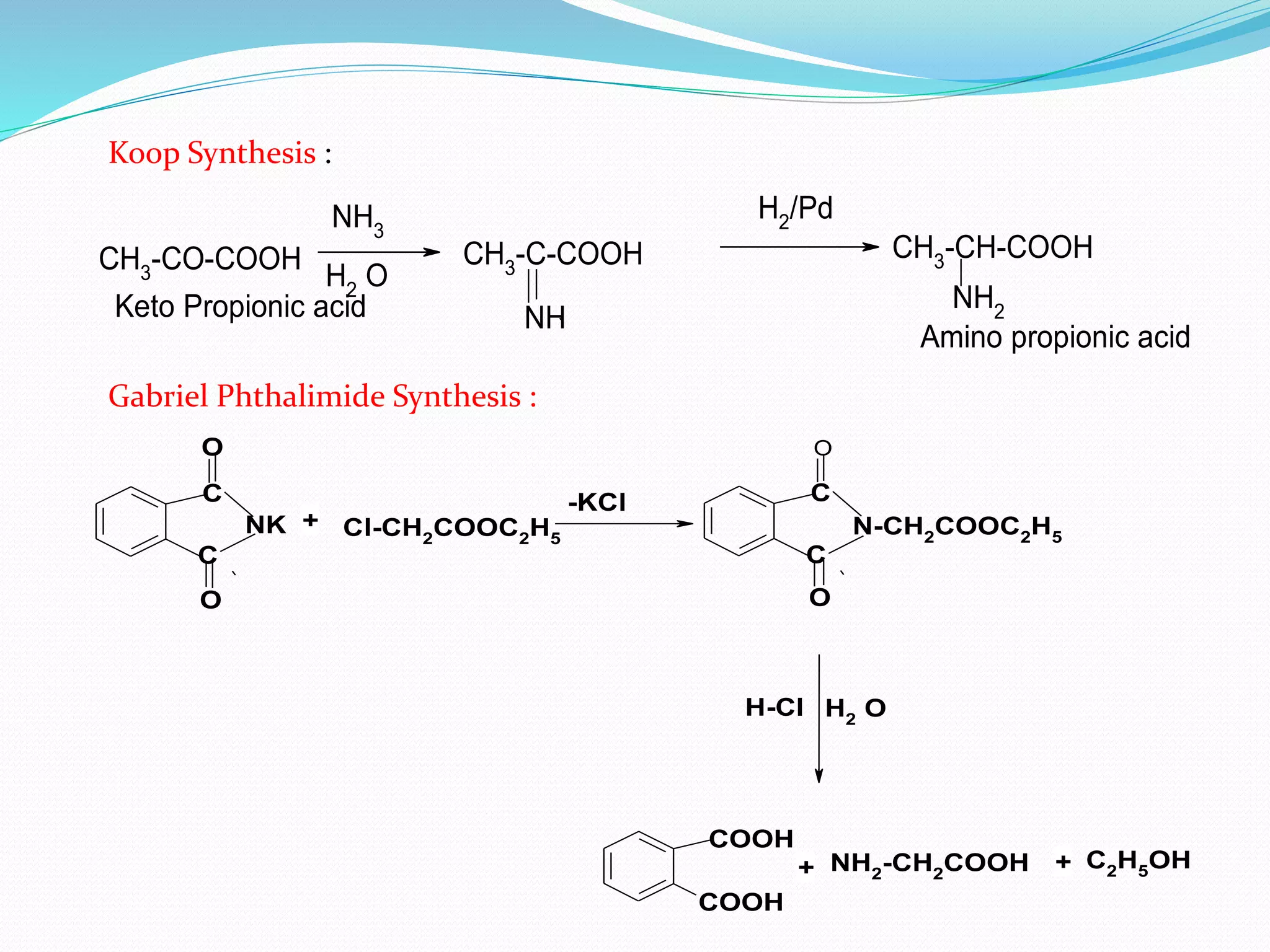 Amino acid & Proteins | PPTX