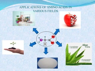 Amino acid & Proteins | PPTX