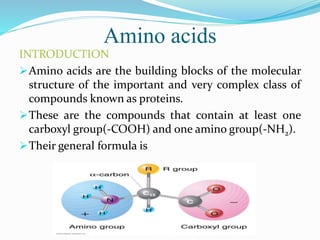 Amino acid & Proteins | PPTX