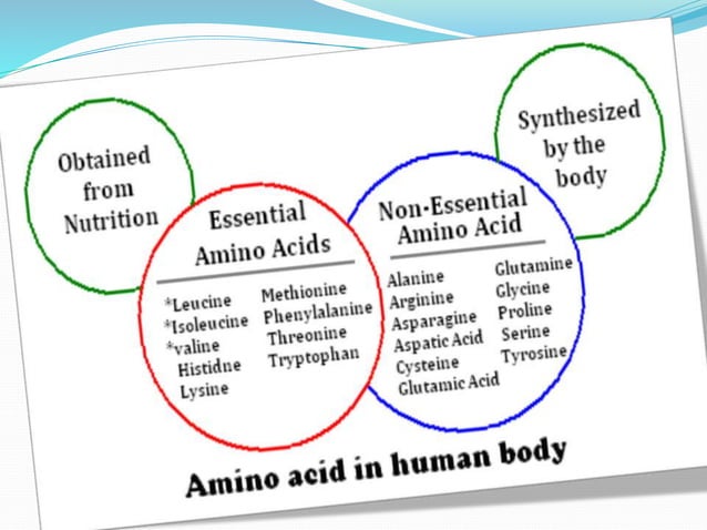 Amino acid & Proteins | PPT