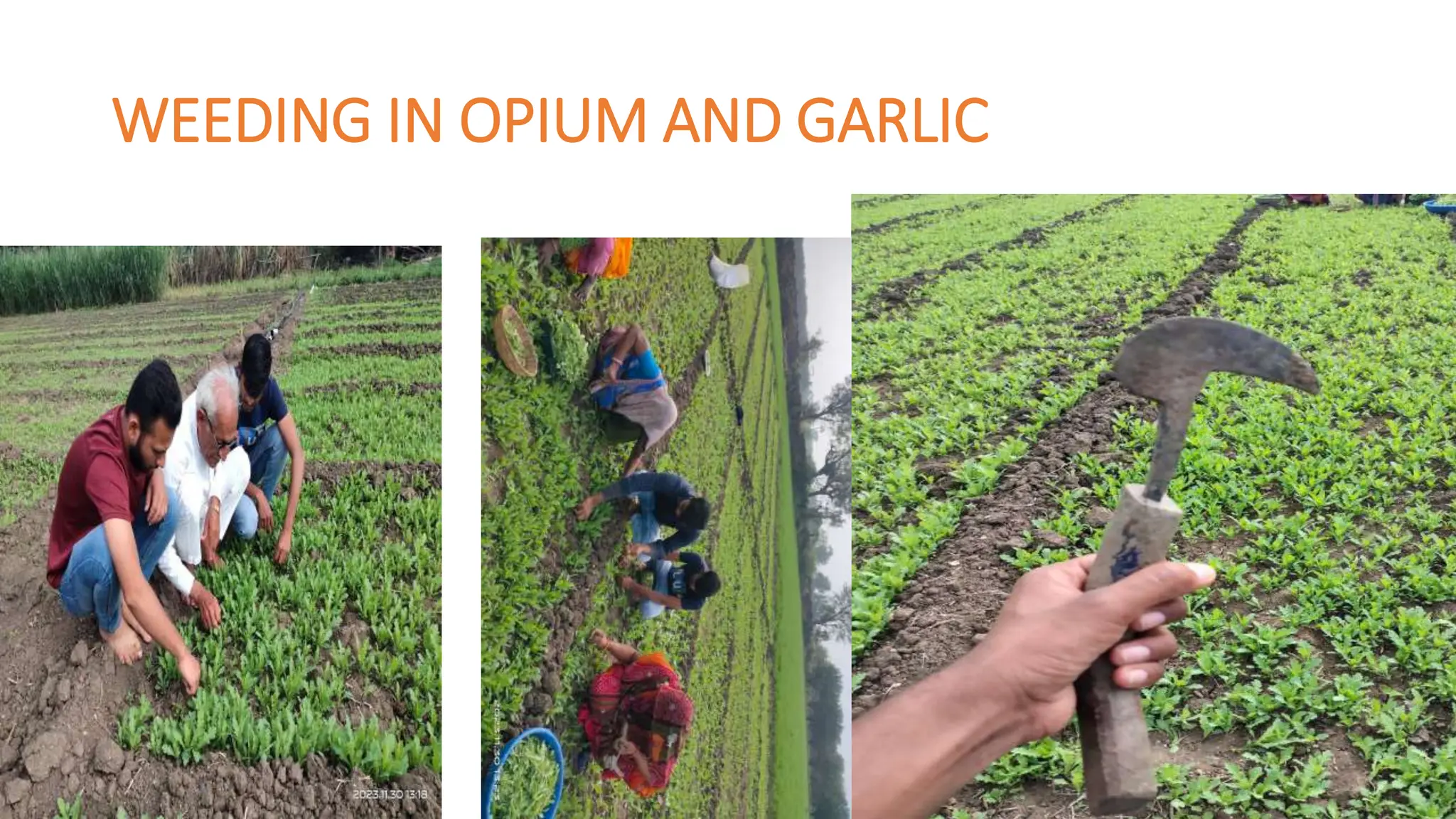 Presentation amit.pptx01.pptx