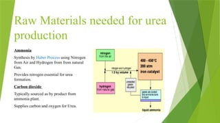 Presentation urea production & synthesis.pptx