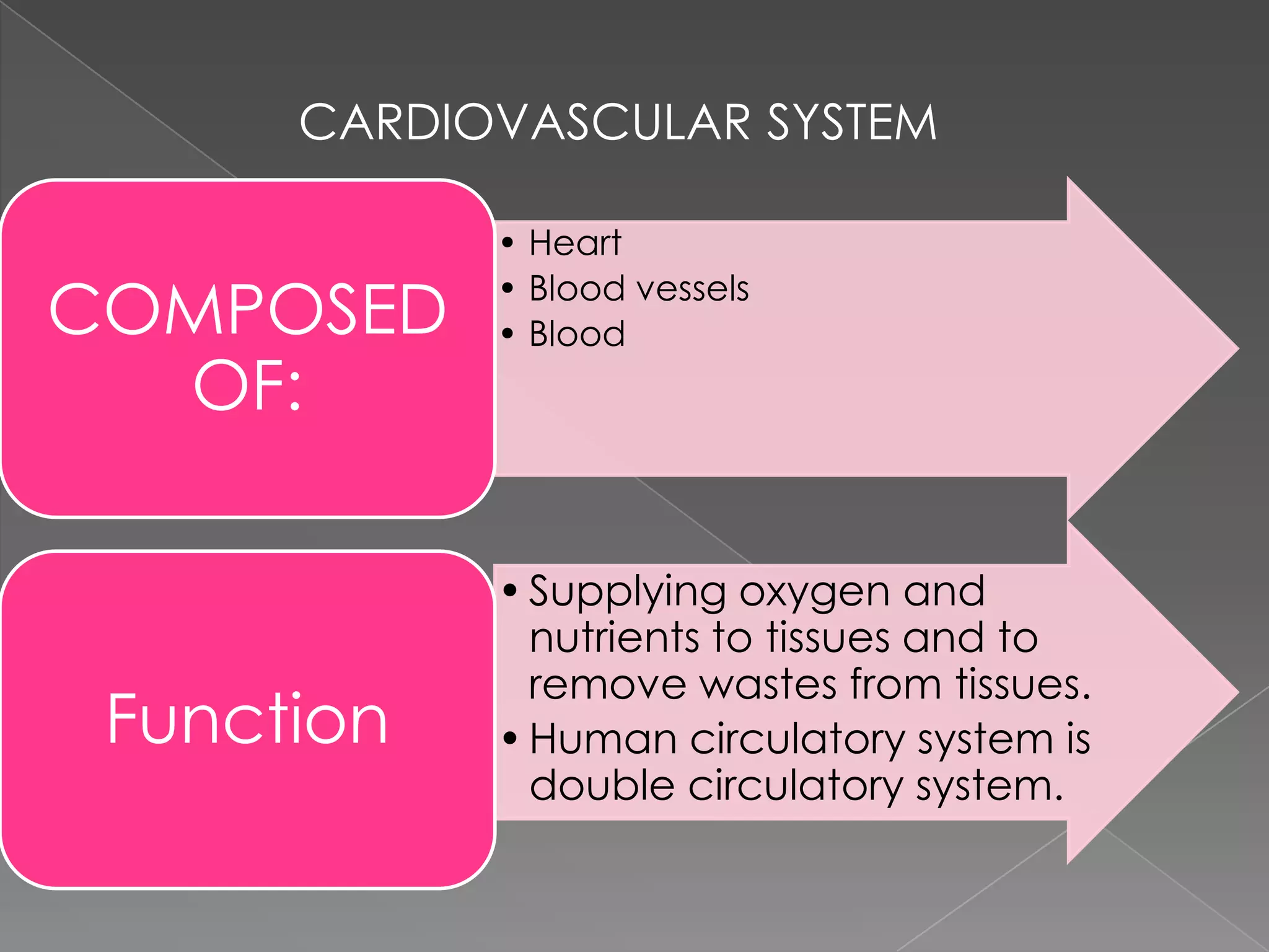 Presentation anatomy | PPTX