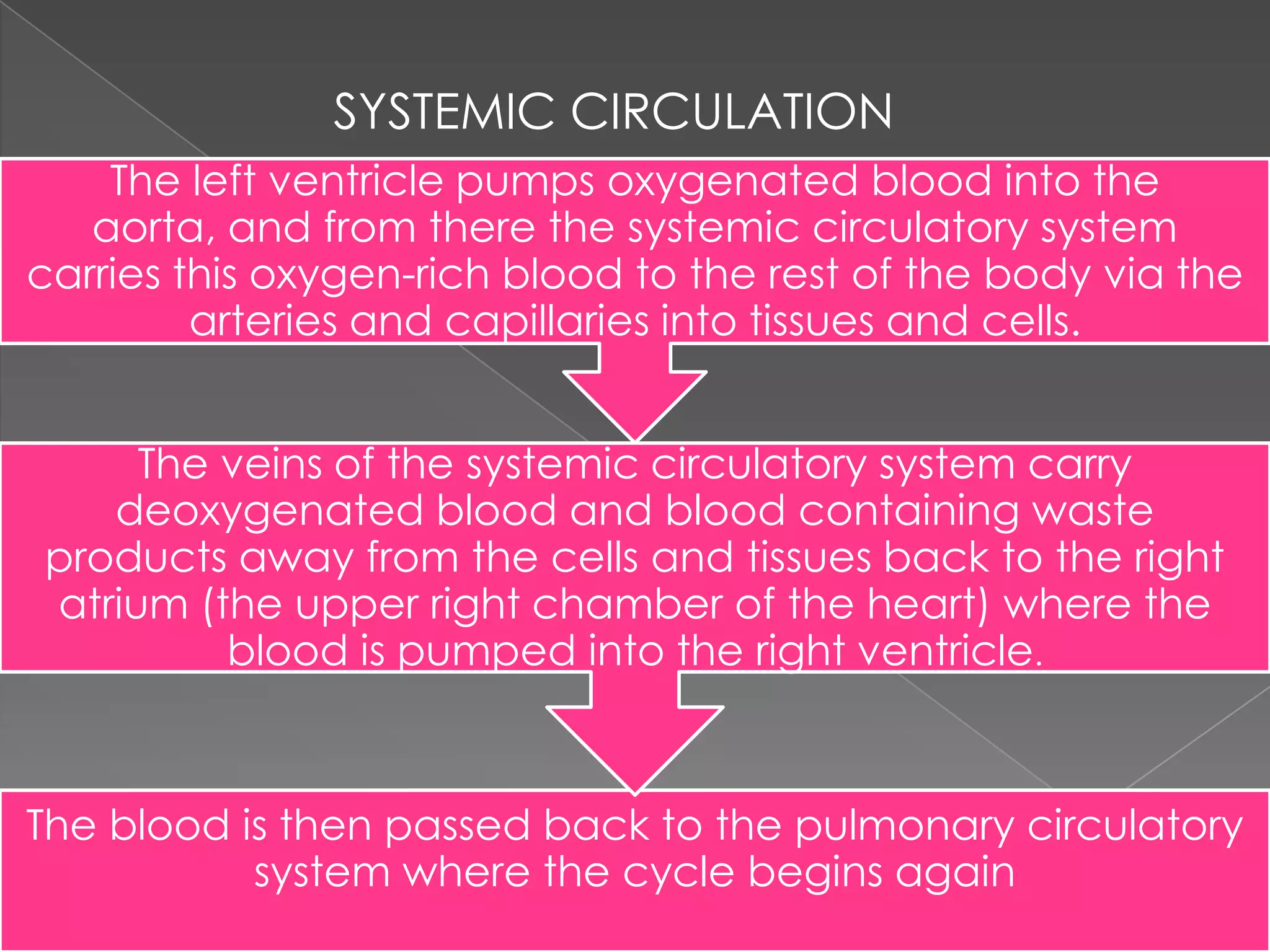 Presentation anatomy | PPTX