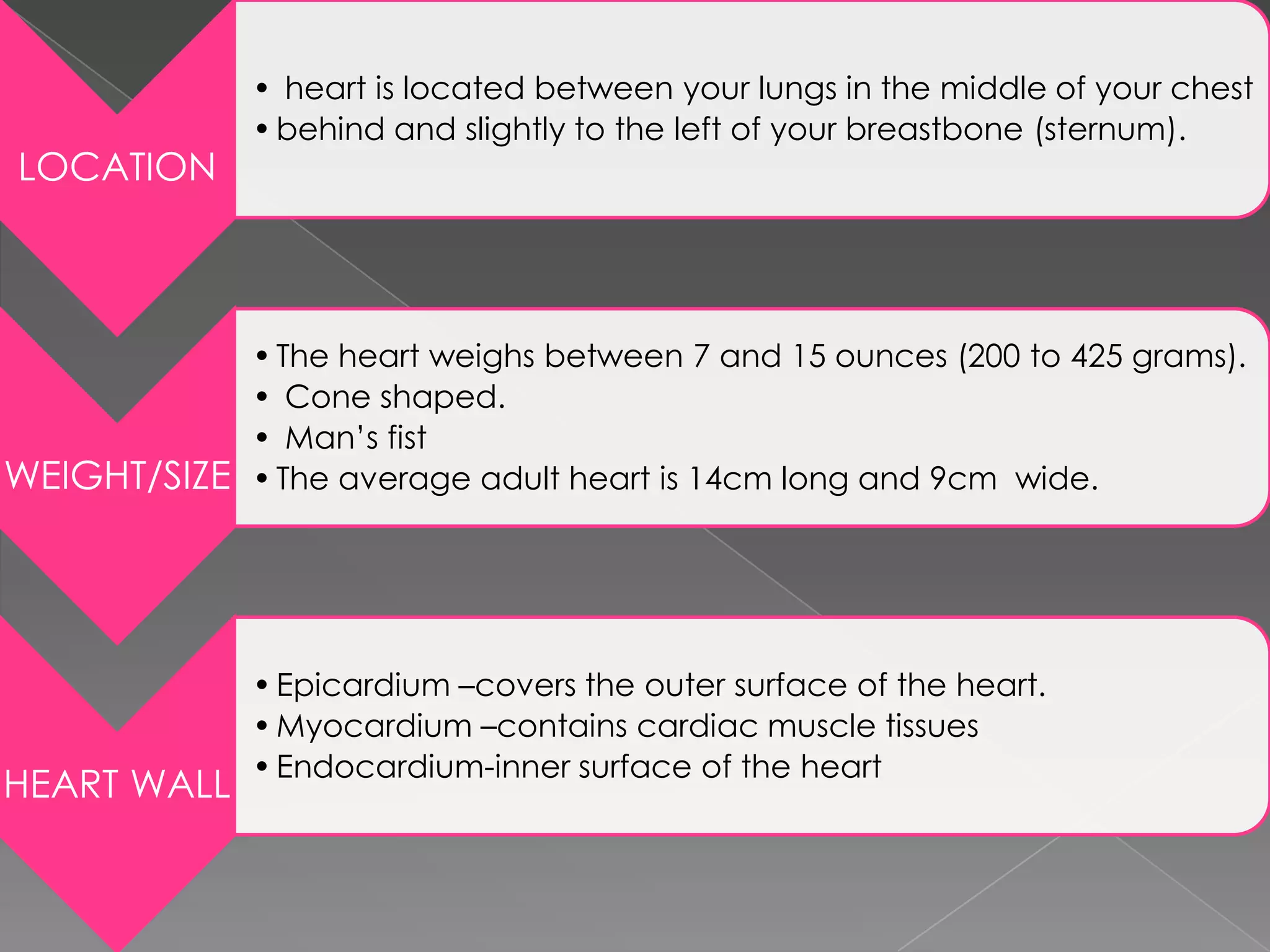 Presentation anatomy | PPTX