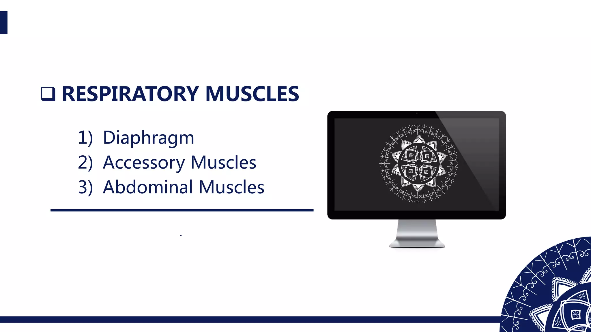 MUSCLES OF RESPIRATION (SHORT) | PPTX