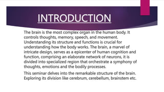 Structure of brain..basic information anatomy | PPTX | Brain and ...