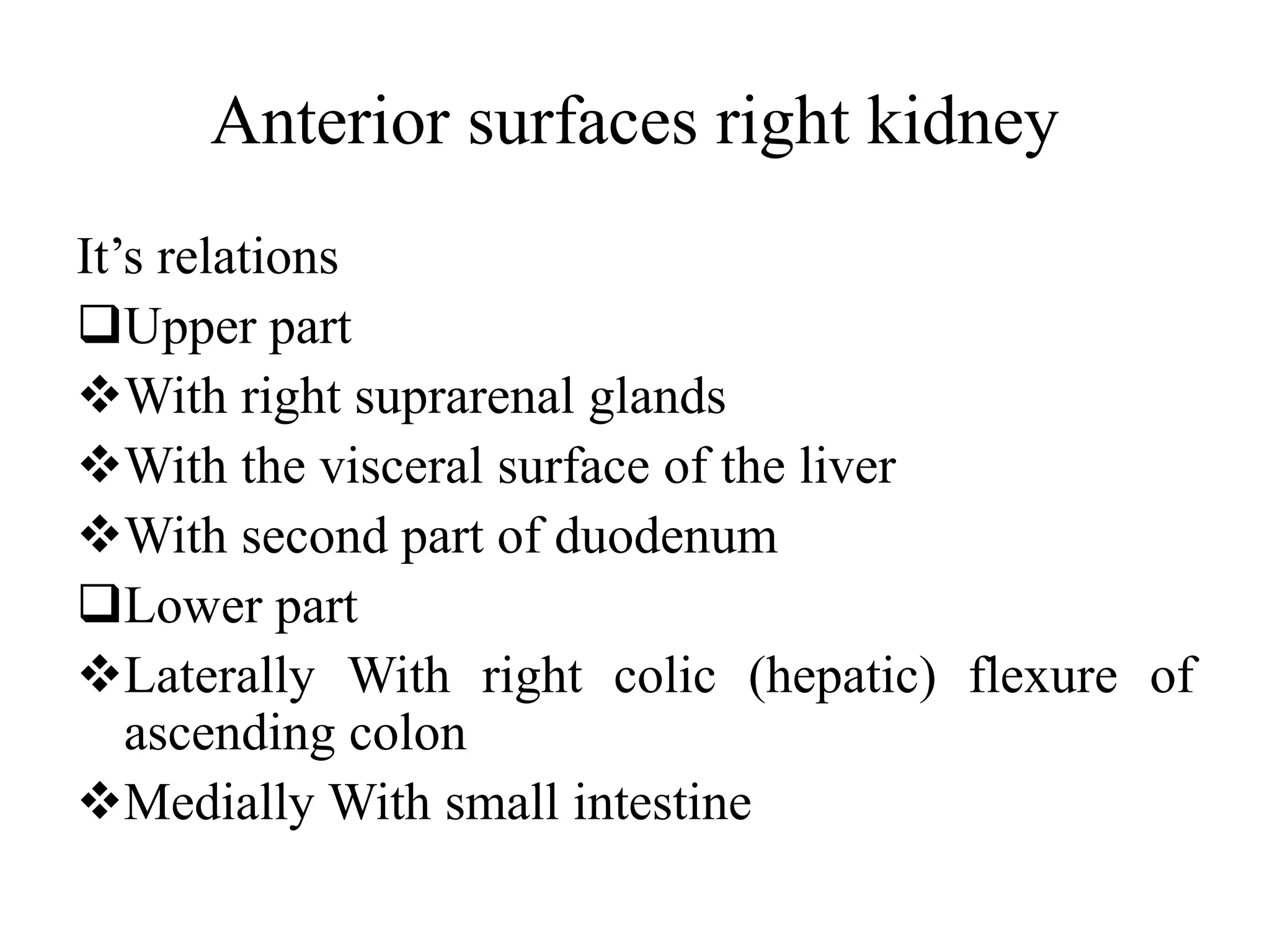 Anatomy of kidney - Dr Nesar, AKTC, AMU, Aligarh | PPTX