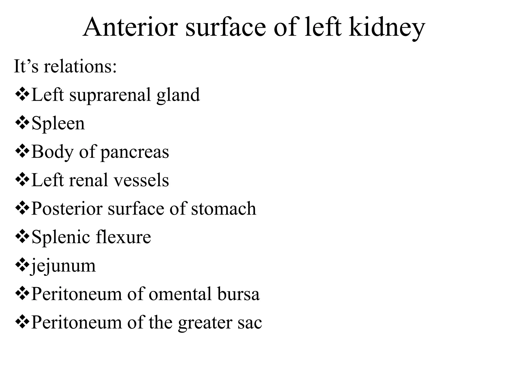 Anatomy of kidney - Dr Nesar, AKTC, AMU, Aligarh | PPTX