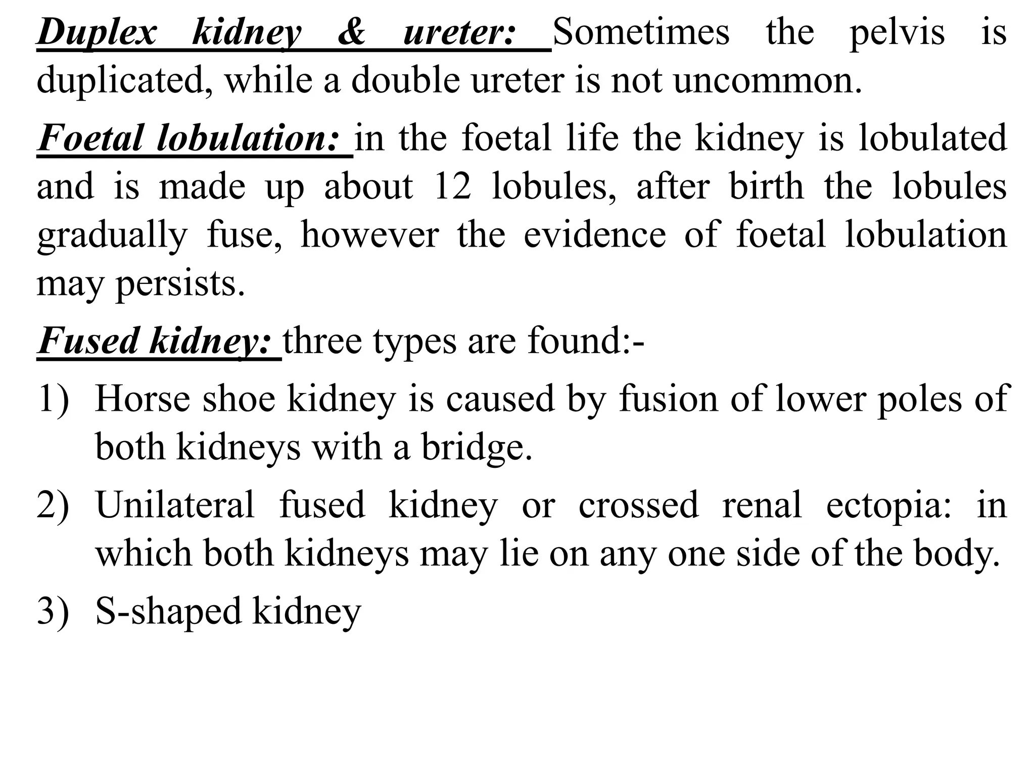Anatomy of kidney - Dr Nesar, AKTC, AMU, Aligarh | PPTX