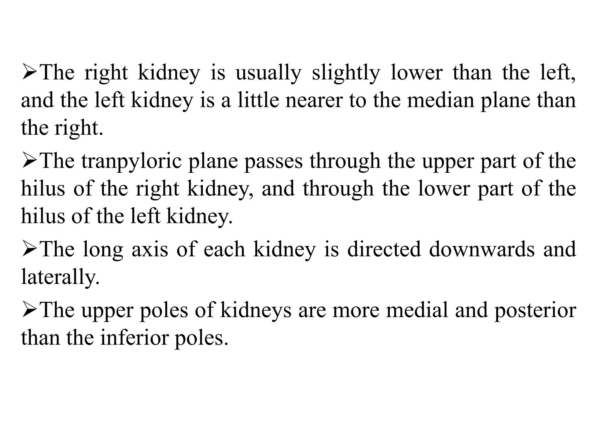 Anatomy of kidney - Dr Nesar, AKTC, AMU, Aligarh | PPTX