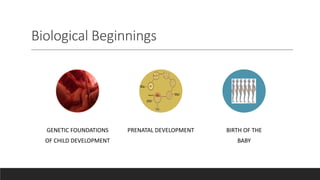 Presentation_Andal. brain aioqnavshaiwkwbavaghwjwbava | PPT