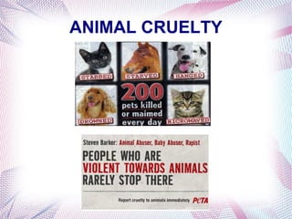 Presentation animal rights ENGLISH | ODP