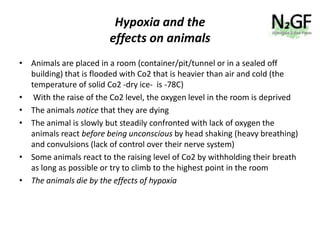 Presentation anoxia eng | PPTX