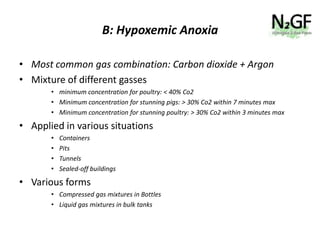 Presentation anoxia eng | PPTX