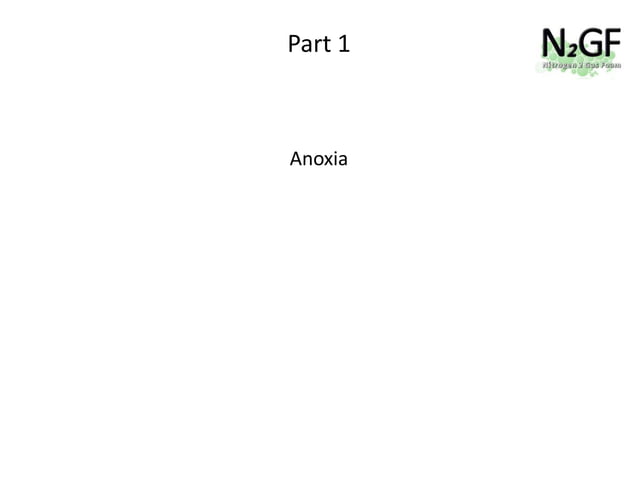 Presentation anoxia eng | PPTX | Lung and Respiratory Health | Diseases ...