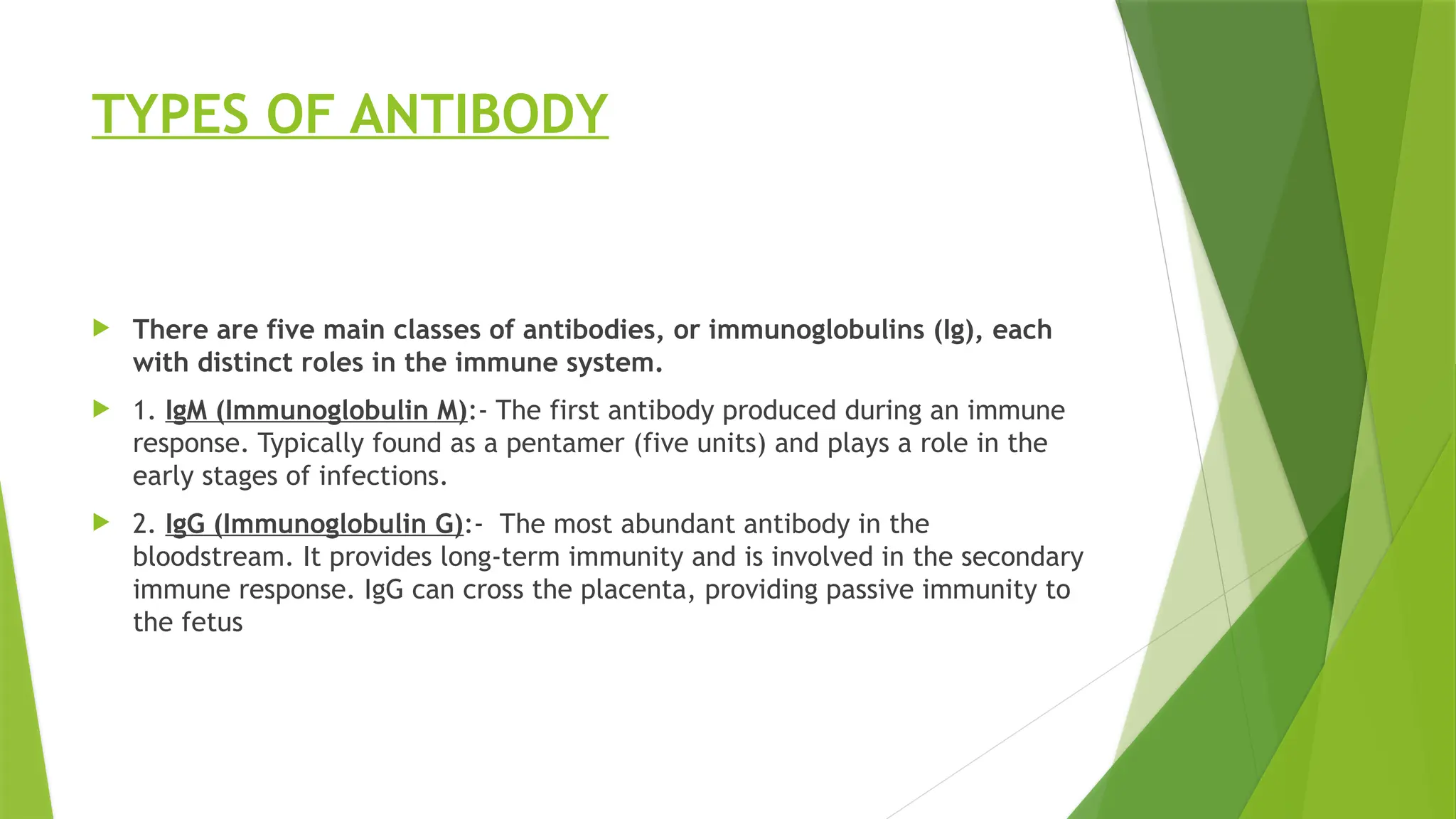 Presentation antibody.pptx free to use for students | PPTX