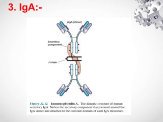 presentationantibodyandstructure-161004100522.pdf