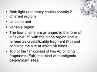 Presentation antibody and structure | PPTX