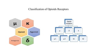 Presentation AP1 ].pptx