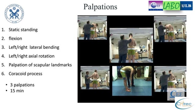 Digitized manual palpation: a new method of evaluating posture and its ...