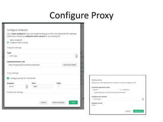 Mule Anypoint API Gateway | PPTX
