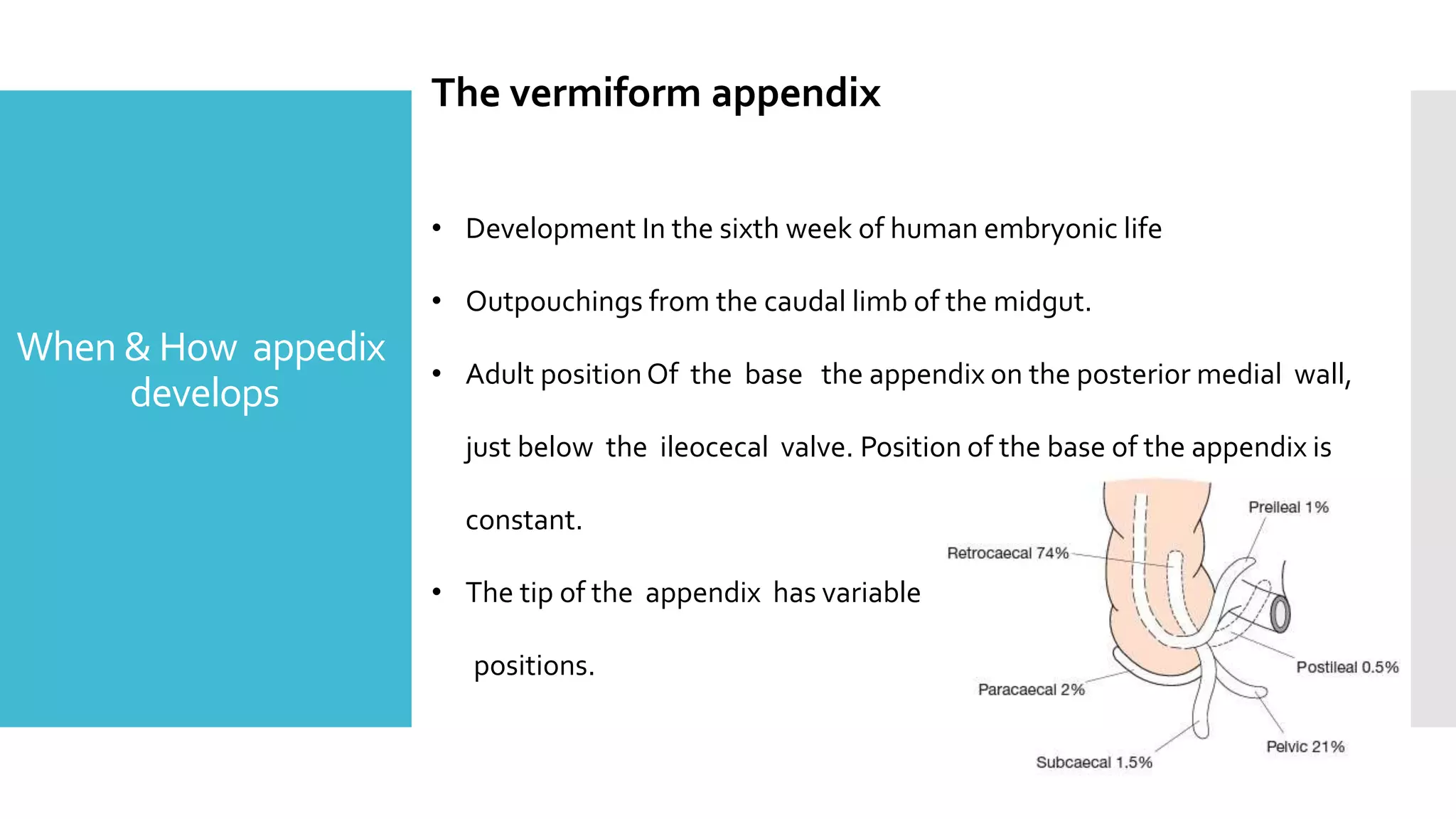 Acute appendicitis presentation.pptx