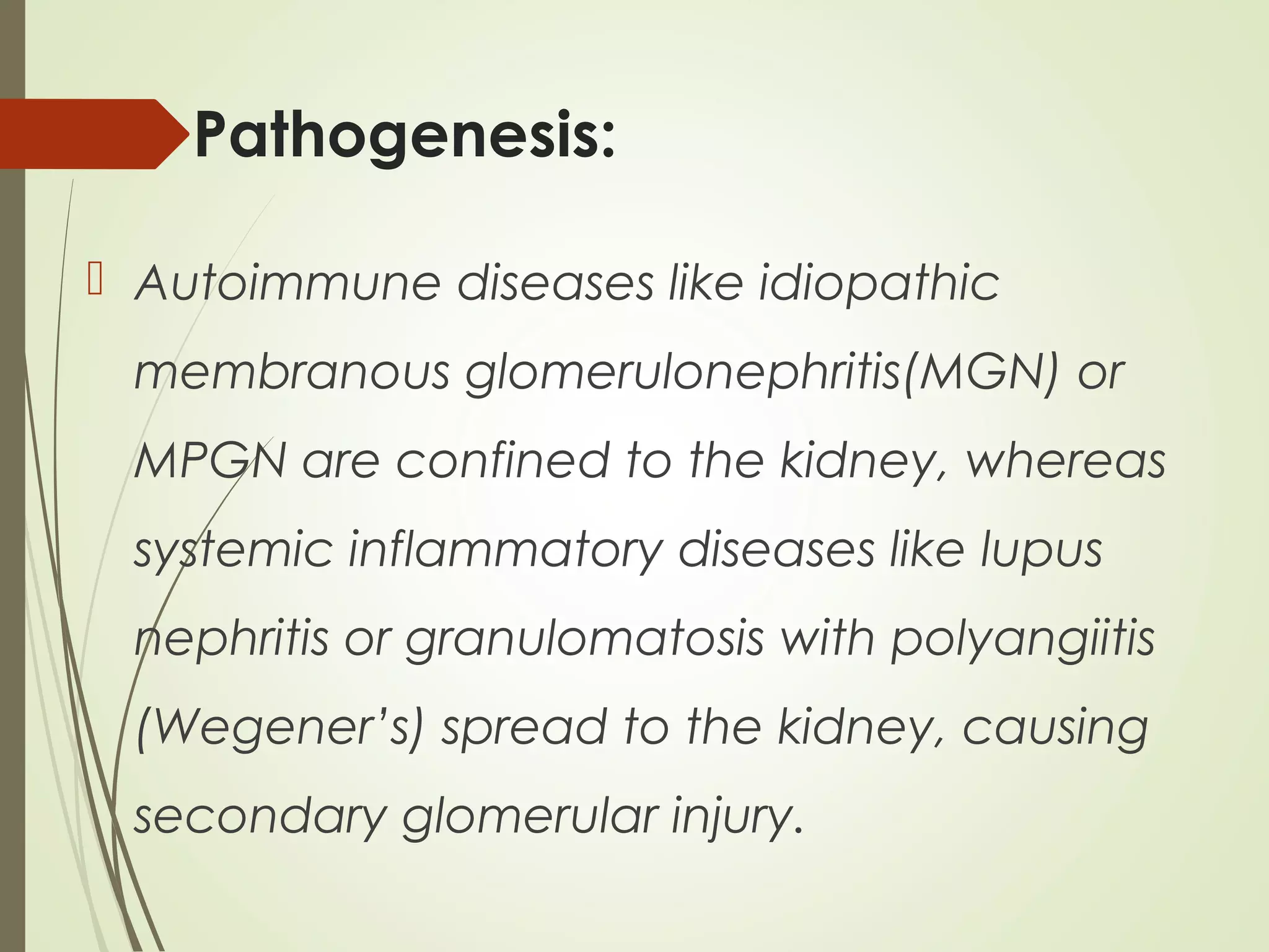 Approach to the patient with Glomerular Disease. | PPT