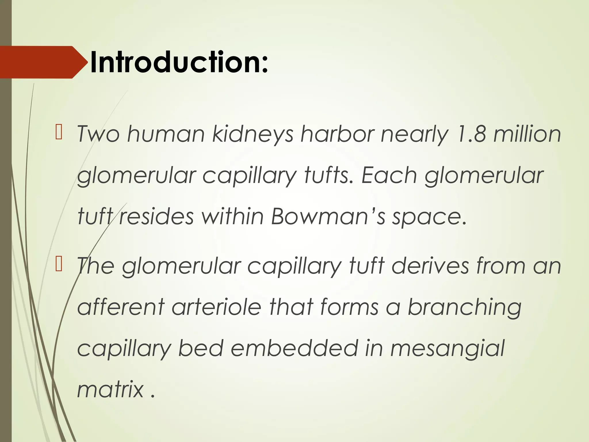 Approach to the patient with Glomerular Disease. | PPT
