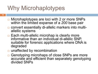 Microhaplotype, A Powerful New Type of Genetic Marker | PPSX