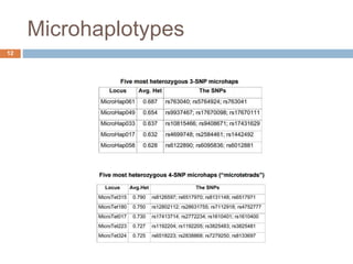 Microhaplotype, A Powerful New Type of Genetic Marker | PPSX