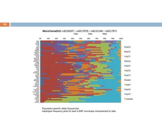 Microhaplotype, A Powerful New Type of Genetic Marker | PPSX