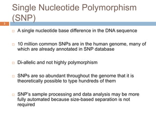 Microhaplotype, A Powerful New Type of Genetic Marker | PPSX