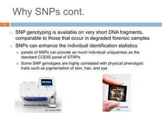 Microhaplotype, A Powerful New Type of Genetic Marker | PPSX