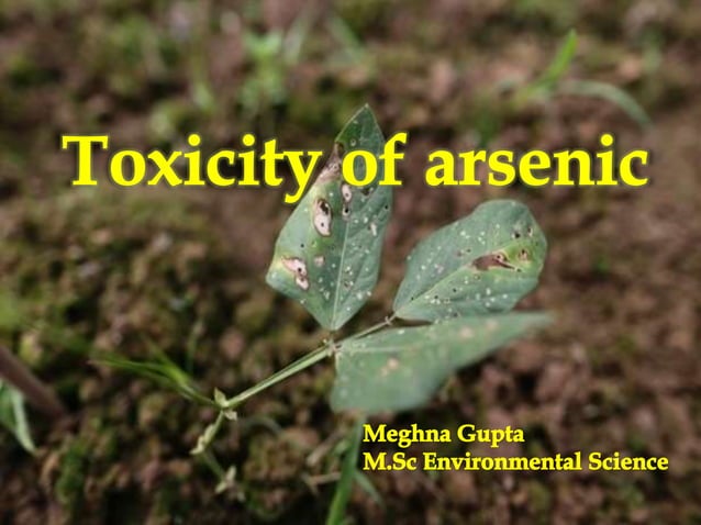 Toxicity of Arsenic | PPTX | Digestive Disorders | Diseases and Conditions