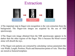 Presentation Fingervein Authentication | PPTX