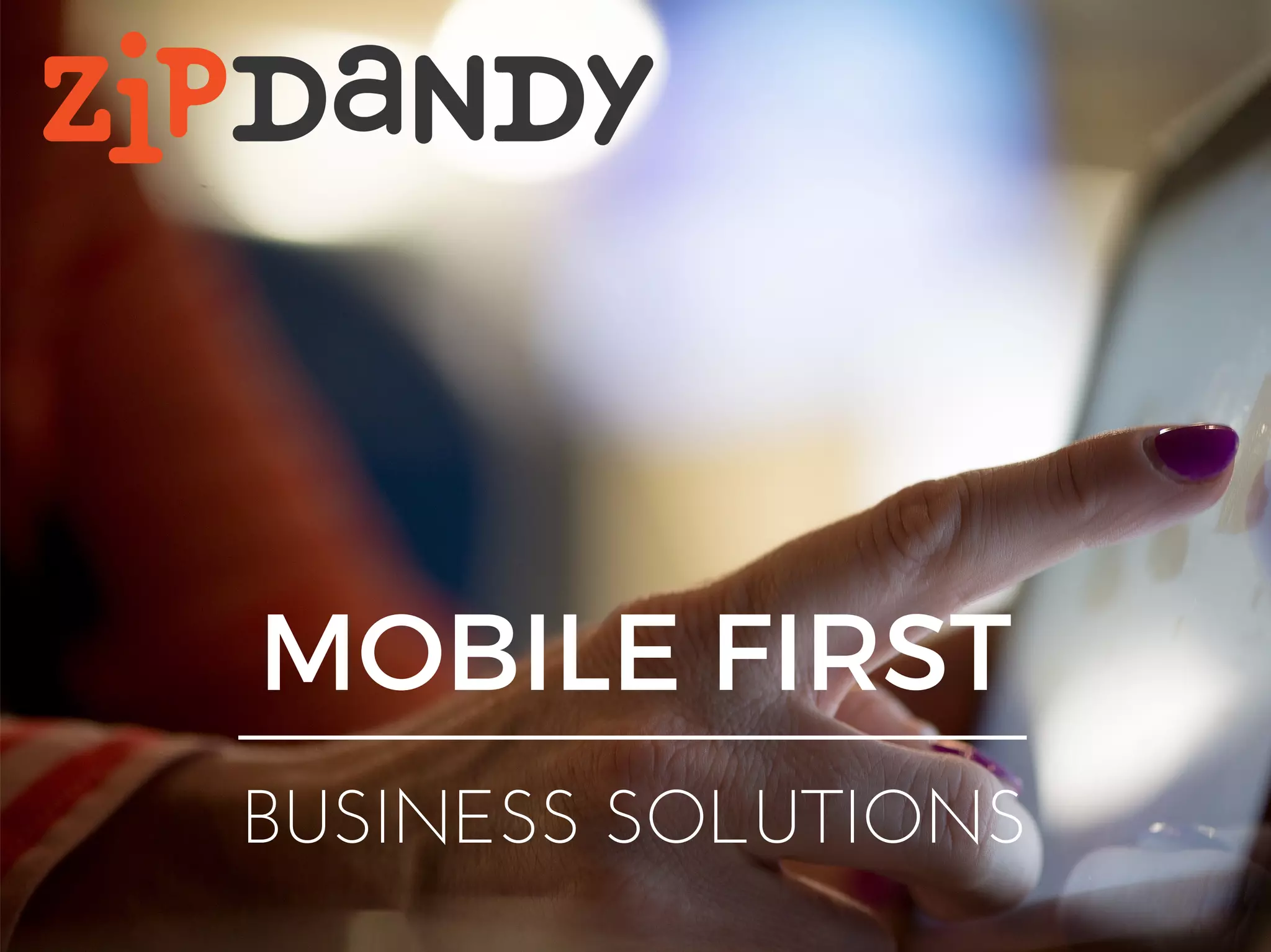 Zip Dandy Product ViewBook | PPT