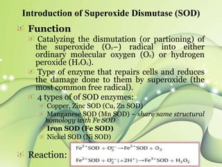 Superoxide Dismutase