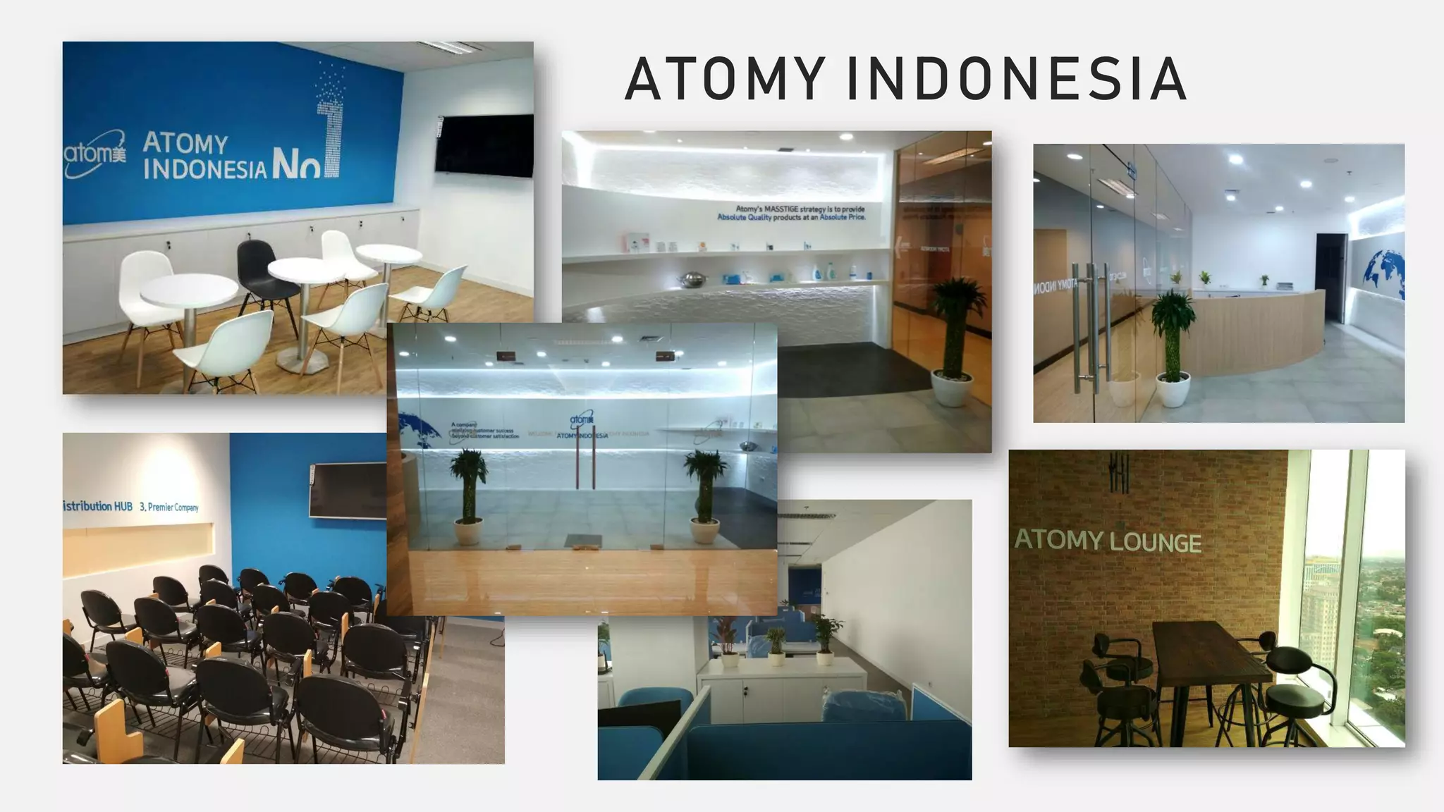 Presentasi Atomy | PDF