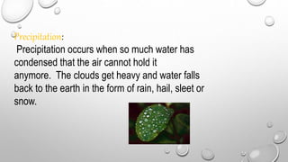 watercycle | PPTX