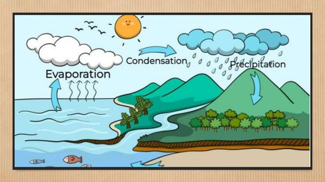 Presentation on Evaporation, its process and factors affecting ...