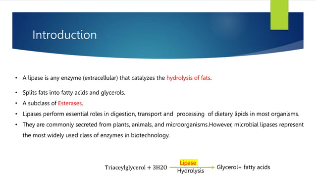 presentation llipase enzyme from(1).pptx | Chemistry | Science