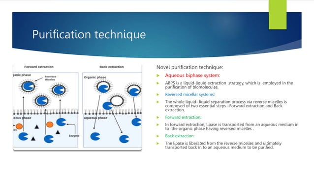 presentation llipase enzyme from(1).pptx | Chemistry | Science