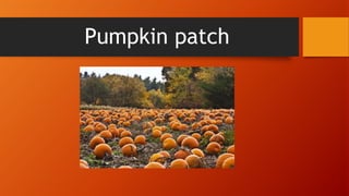 Presentation autumn | PPT
