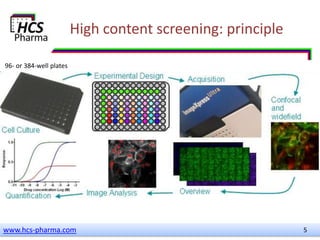 HCS for brain disorders / HCS Pharma at B4B mars 2018 | PPT